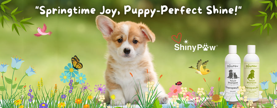 Natural Pet Care for Dogs, Cats, Kittens and Puppies – ShinyPaw